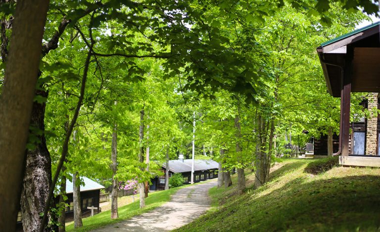 Ohio FFA – Ohio FFA – FFA makes a positive difference in the lives of ...